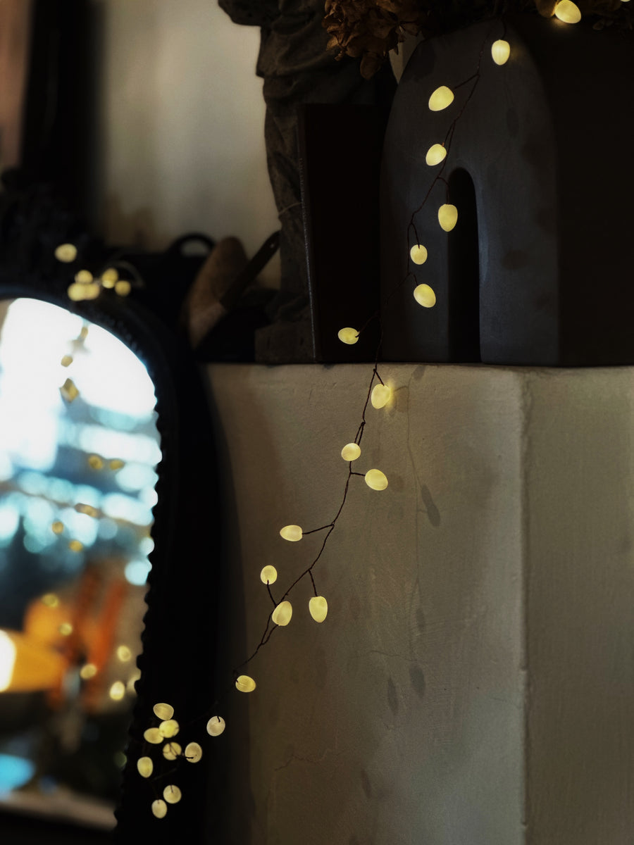 Tear Drop Lights – Ecoco